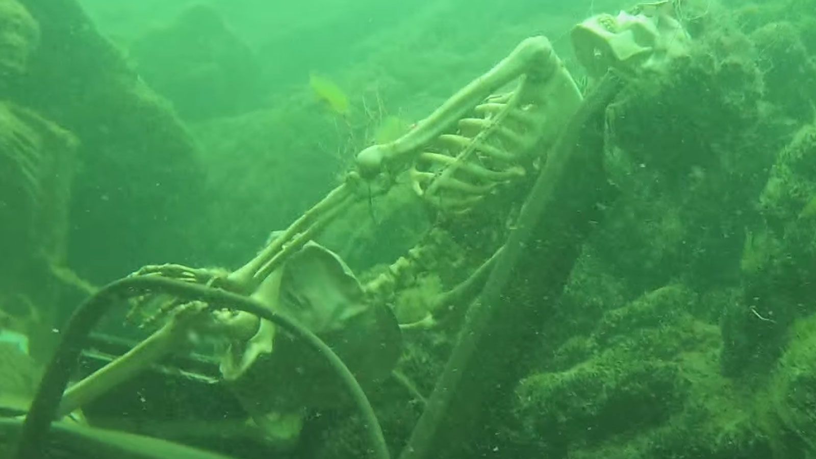 Giant Skeletons Underwater